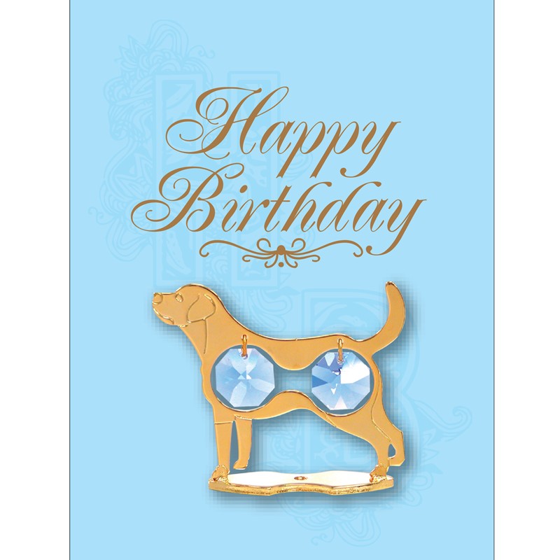 Happy Birthday Laboratory